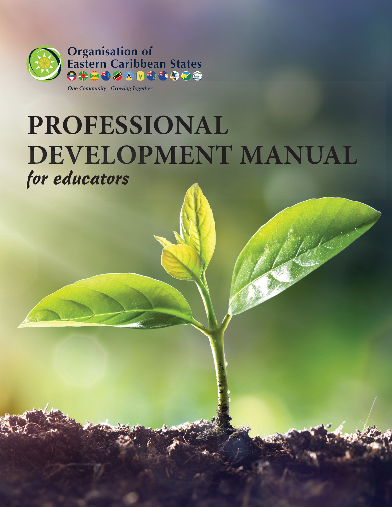 Professional Development Manual for Educators