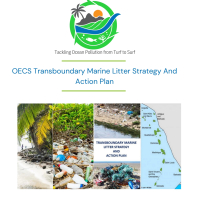 OECS Transboundary Marine Litter Strategy and Action Plan.pdf